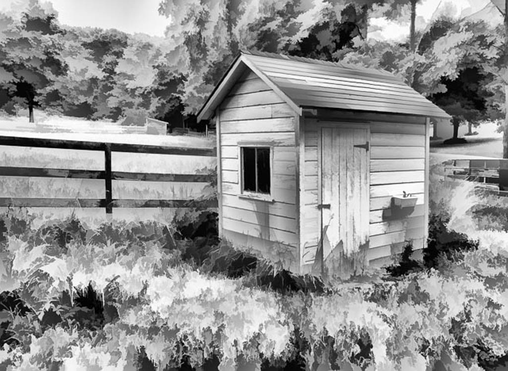 The Shed – Monochromia