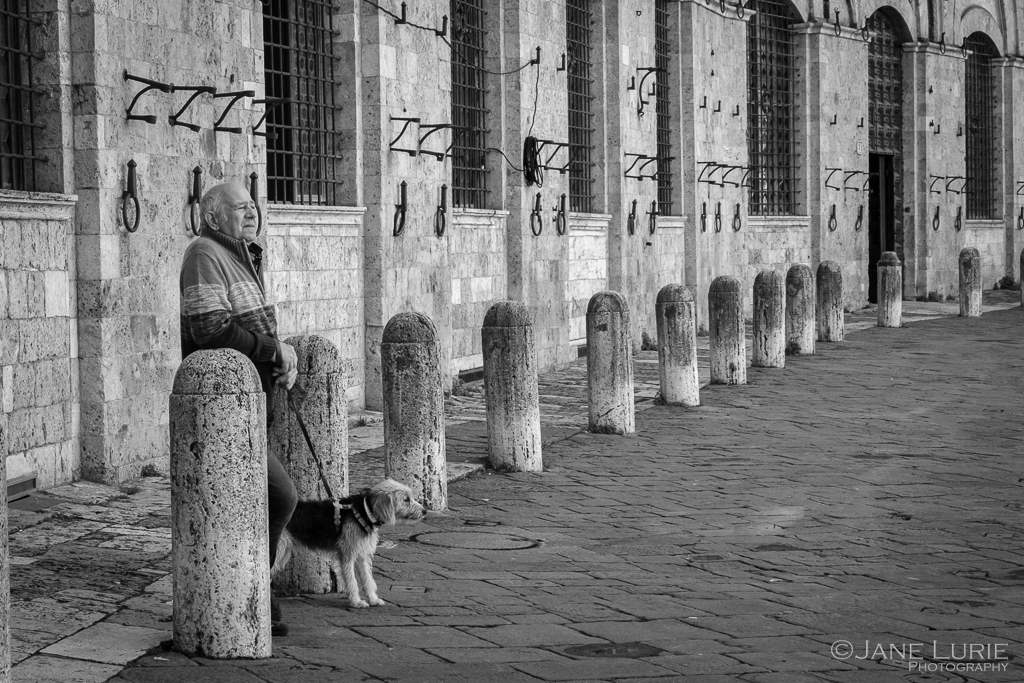 A Man and His Dog, Sienna – Monochromia