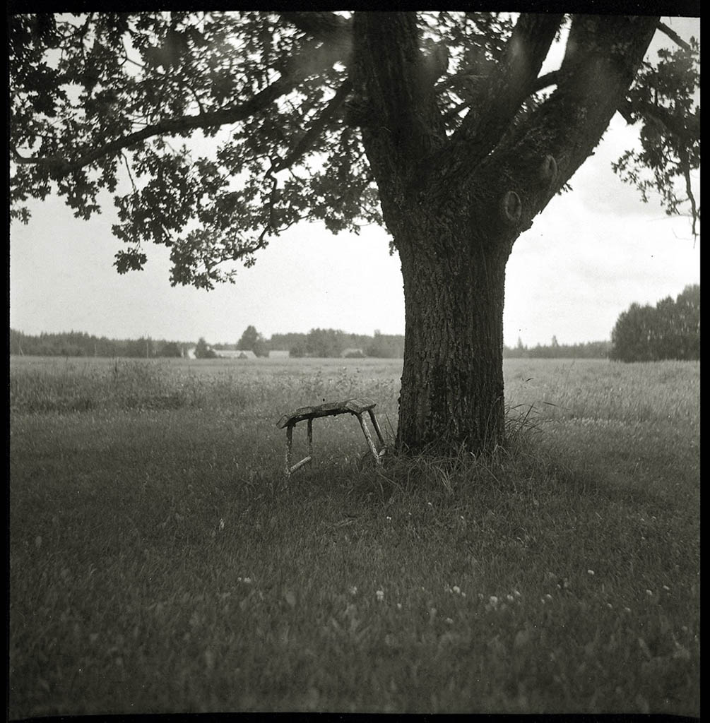 A place for reflection – Monochromia